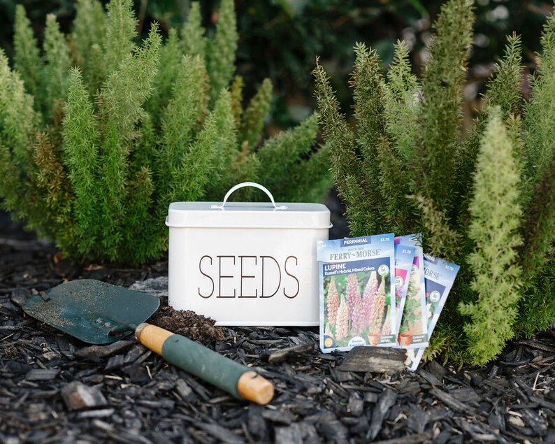 SEEDS TIN BOX Farmhouse Kitchen Décor Gardening Organization - Etsy