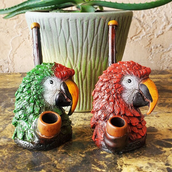 Parrot Head Gifts - 60+ Gift Ideas for 2024