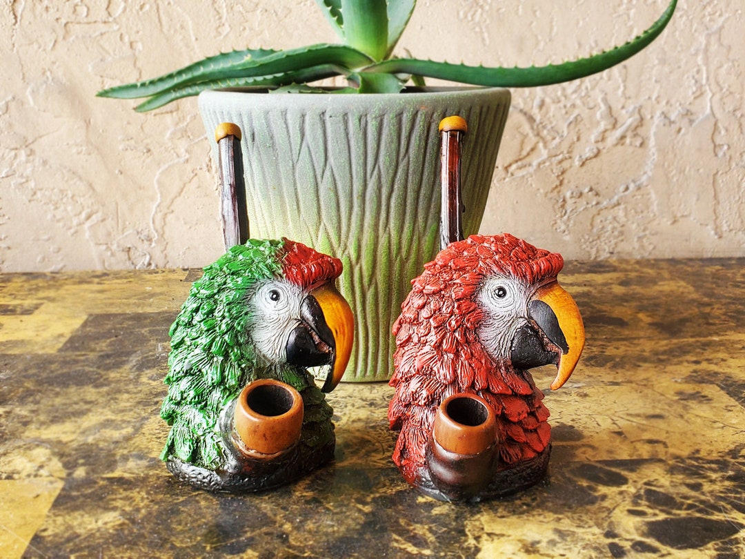 Macaw Parrot Tobacco Smoking Pipe Handmade Bird Head Figurine Tropical ...
