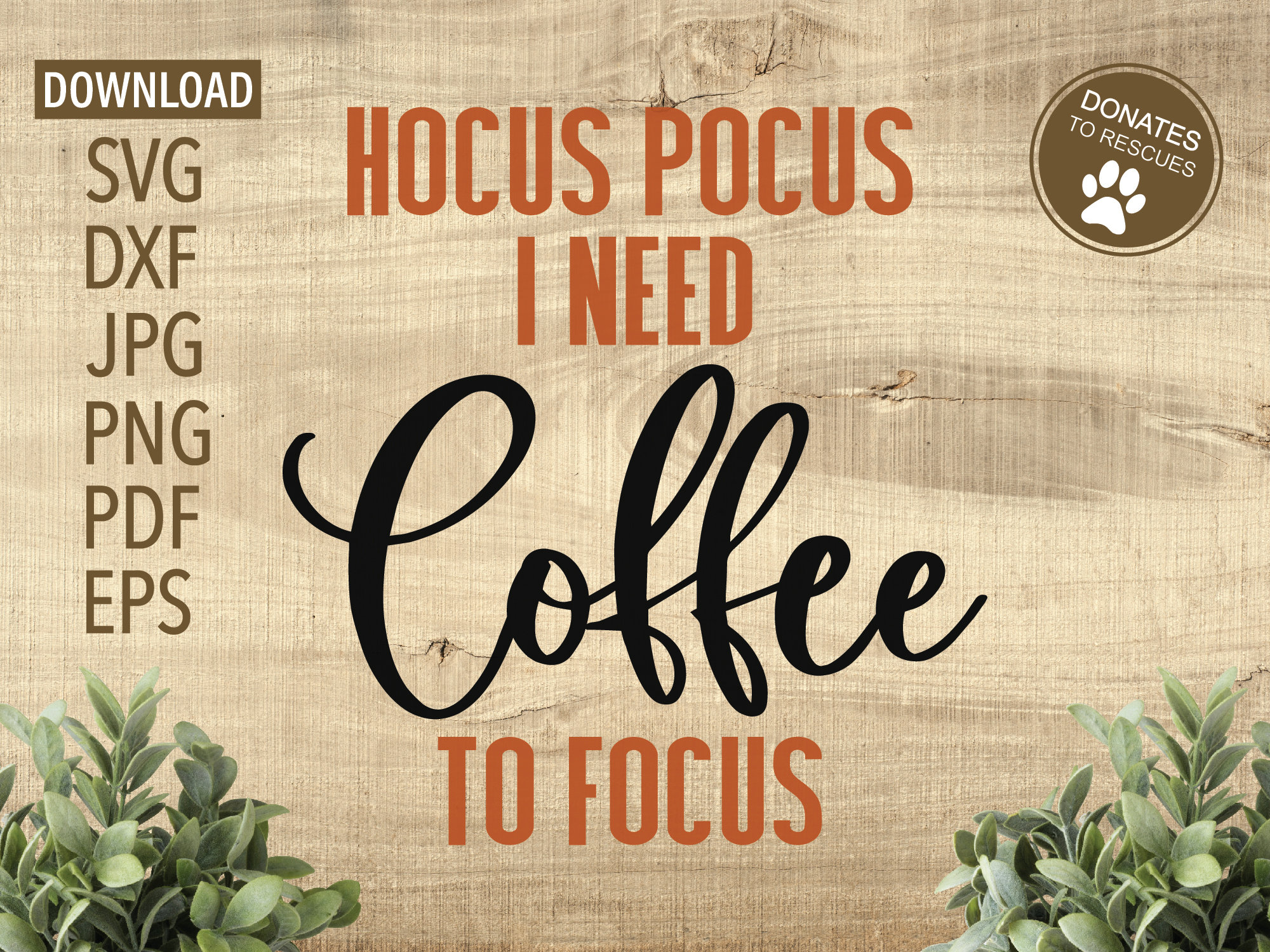 Hocus Pocus I Need Coffee to Focus SVG | Halloween SVG | Cricut ...