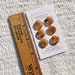 Luminous Small Antique Horn Buttons NOS 5/8” Button Set of 6 Light ...