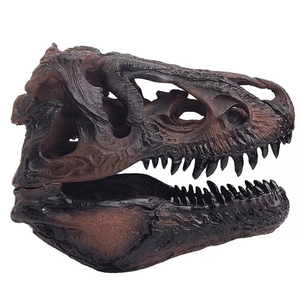T Rex Fossil - Etsy