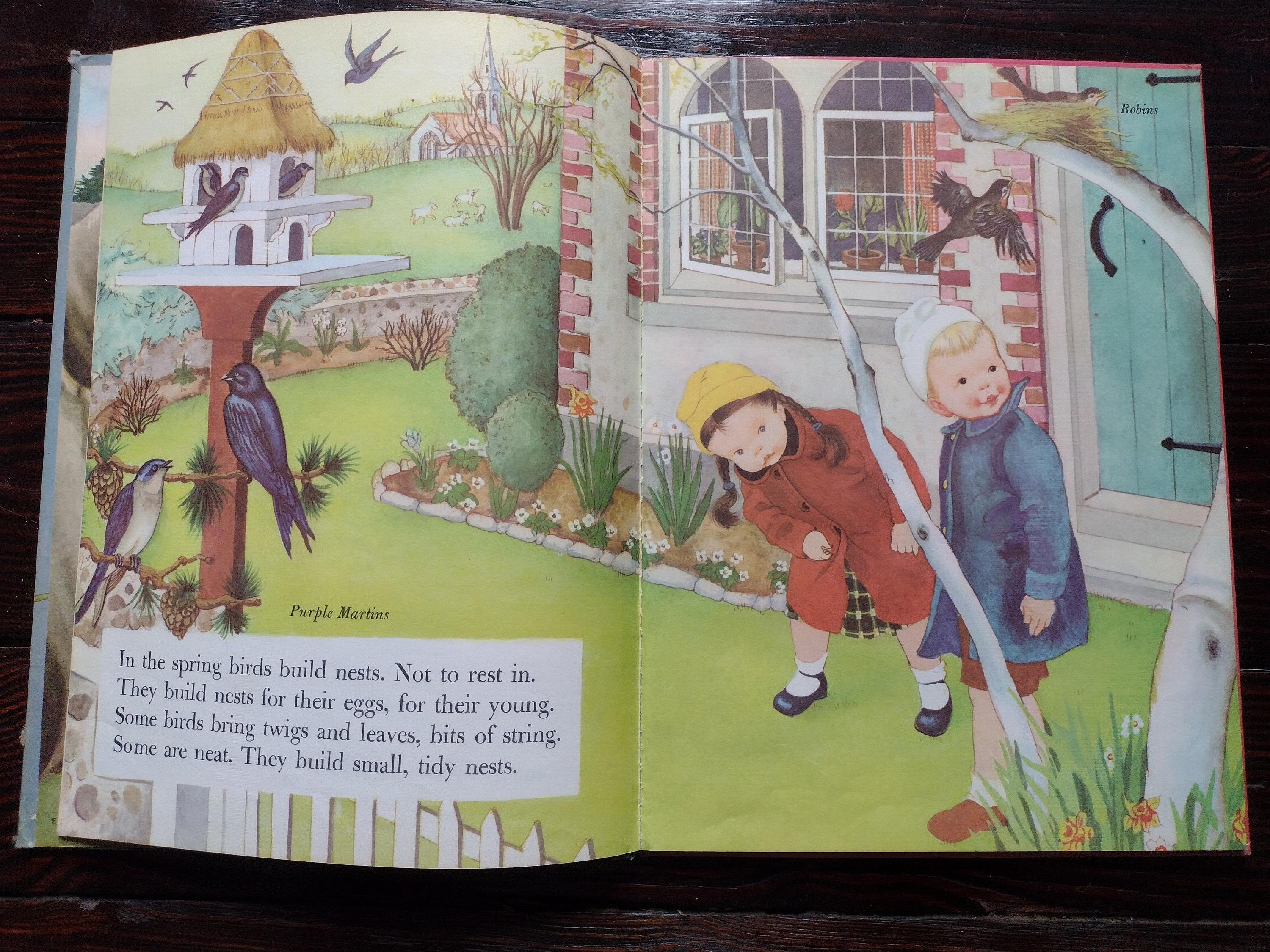 Birds: A Child's First Book About Our Most Familiar Birds, Big Golden ...