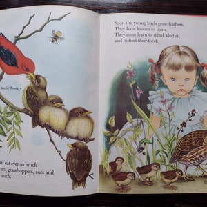 Birds: A Child's First Book About Our Most Familiar Birds, Big Golden ...