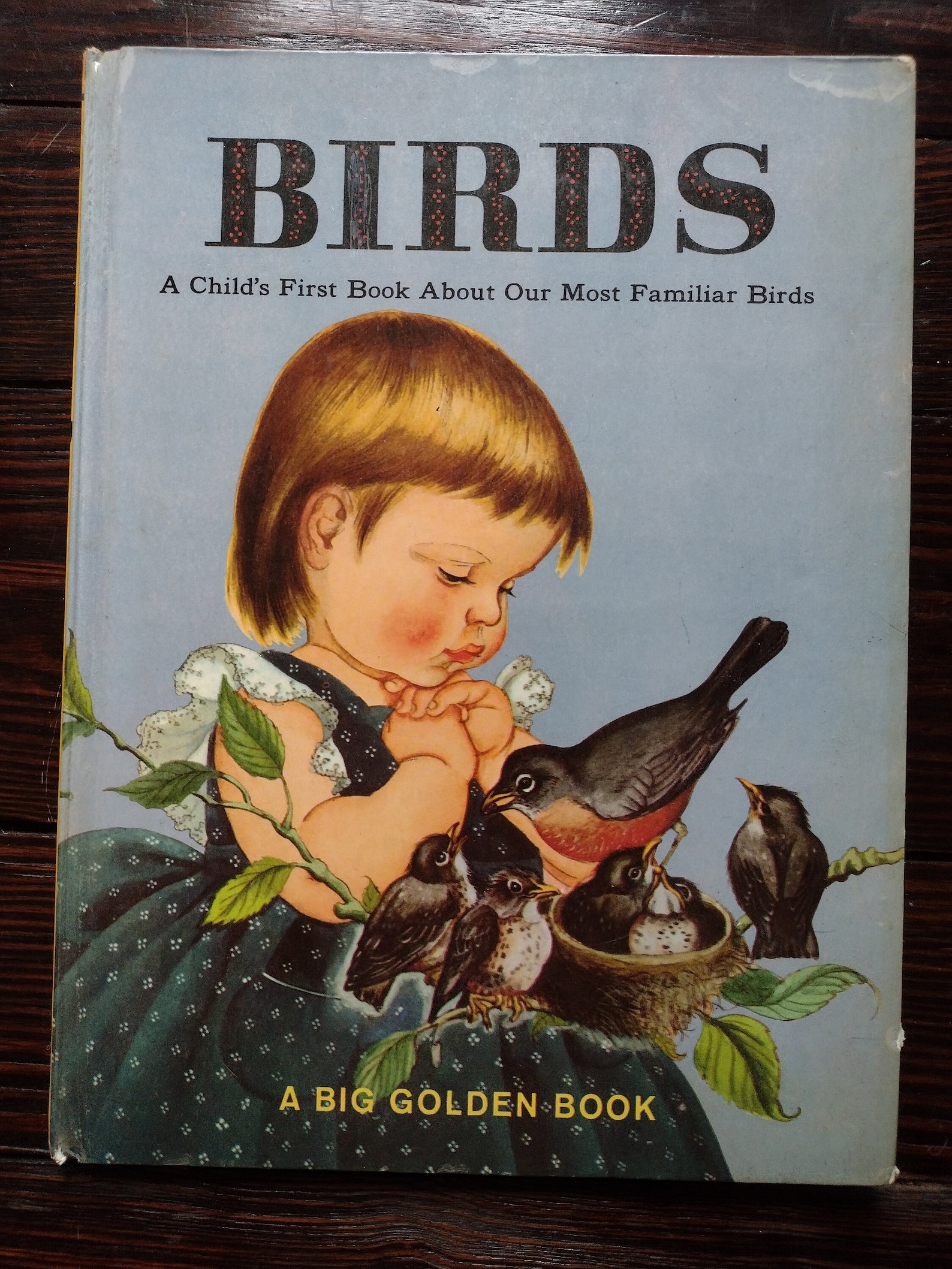 Birds: A Child's First Book About Our Most Familiar Birds, Big Golden ...