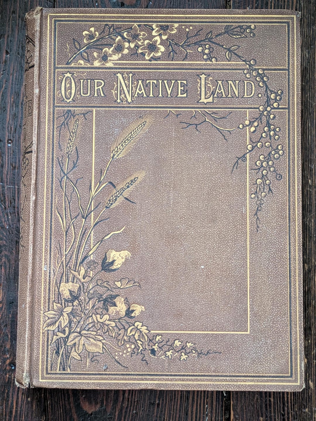 Our Native Land: Glances at American Scenery and Places, With Sketches ...