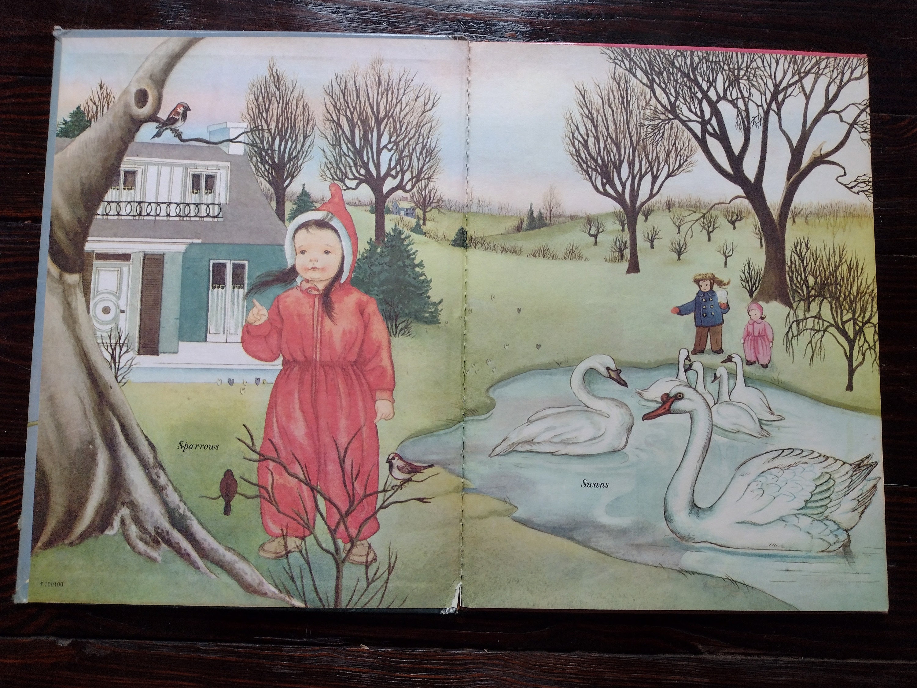 Birds: A Child's First Book About Our Most Familiar Birds, Big Golden ...
