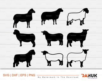 Show Lamb Svg File - Etsy