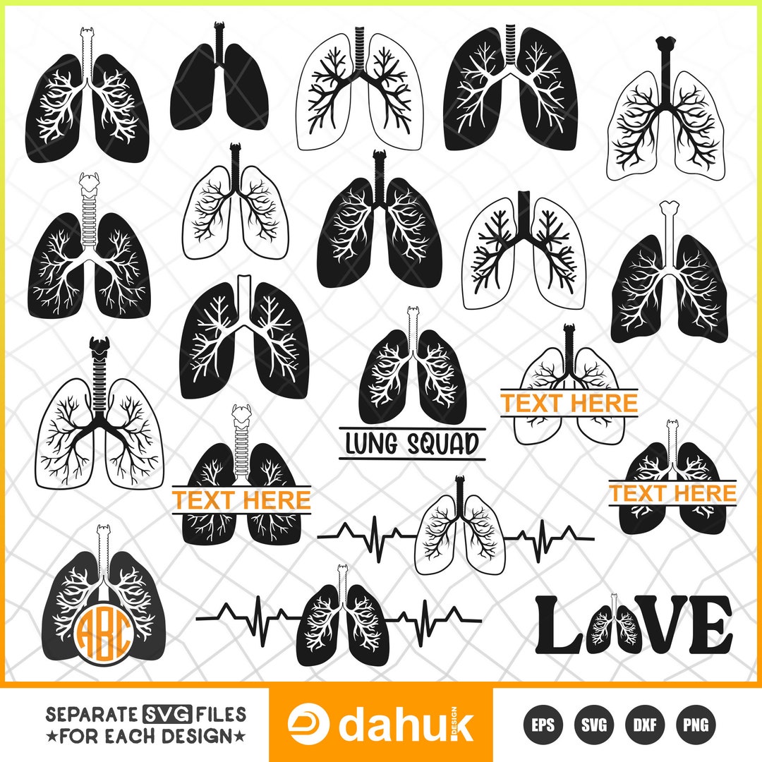 Anatomical Lungs SVG File, Respiratory Therapist SVG, Anatomy SVG ...