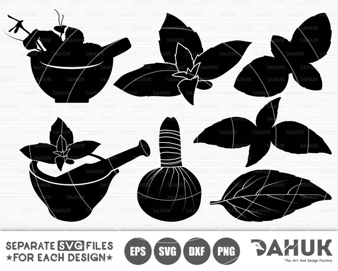 Basil Leaf SVG Basil Herb Clipart Basil Svg File Herbal - Etsy