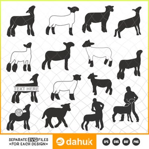 Show Lamb Bundle SVG, Market Lamb Silhouette, Livestock Show Digital ...