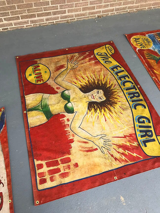 Sideshow Banner the Electric Girl - Etsy