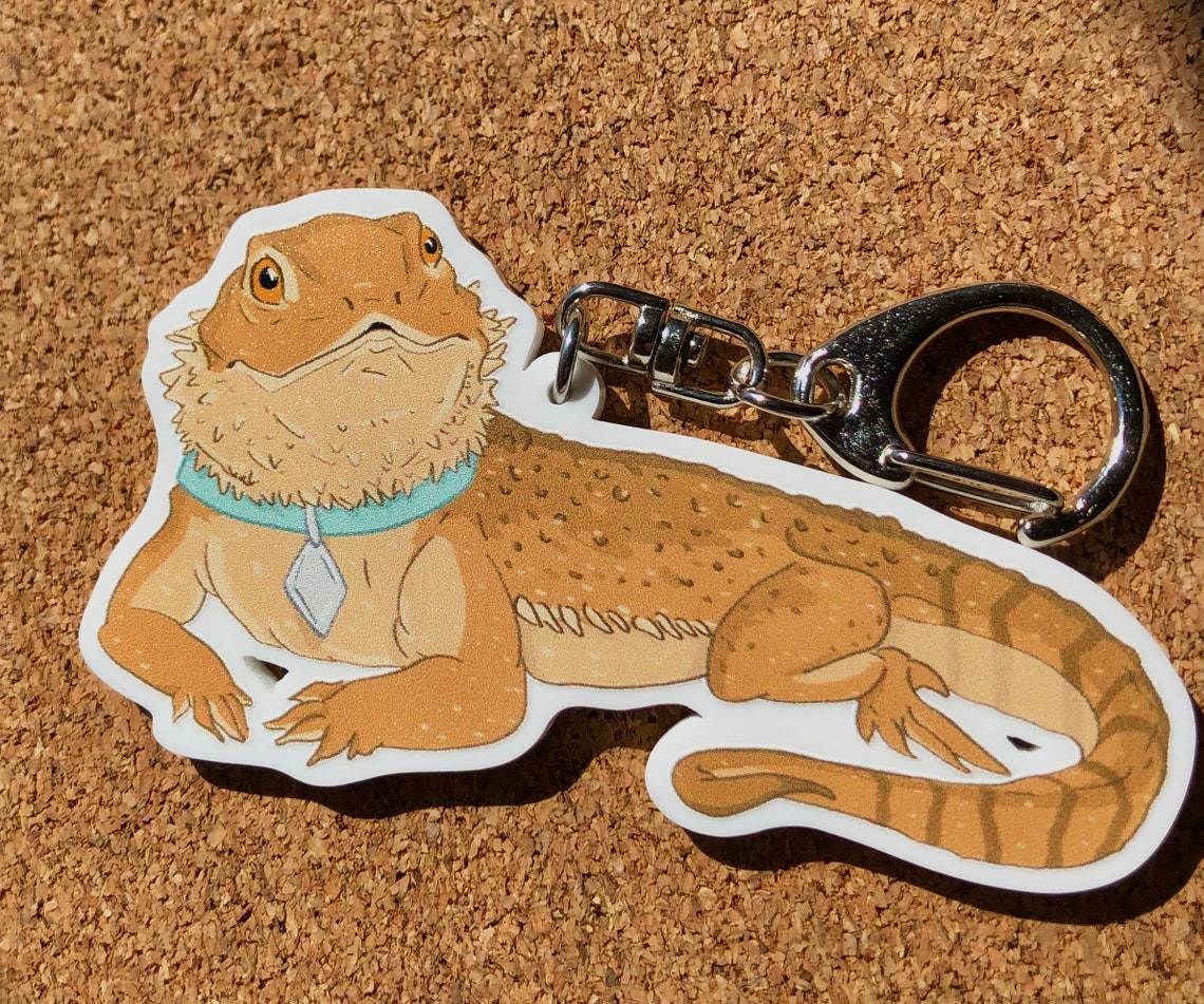 Bearded Dragon- Acrylic Keychain D Clasp - Etsy