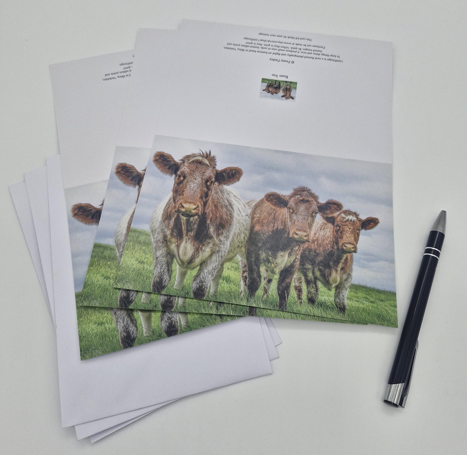 Farm Animal Cards. Shorthorn Cattle Art. Beef Cattle Art Cards. Cow ...