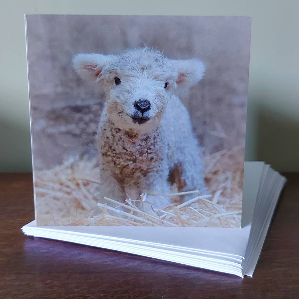 Sheep Card Sheep Greetings Card Sheep Blank Card Cute Birthday Card ...