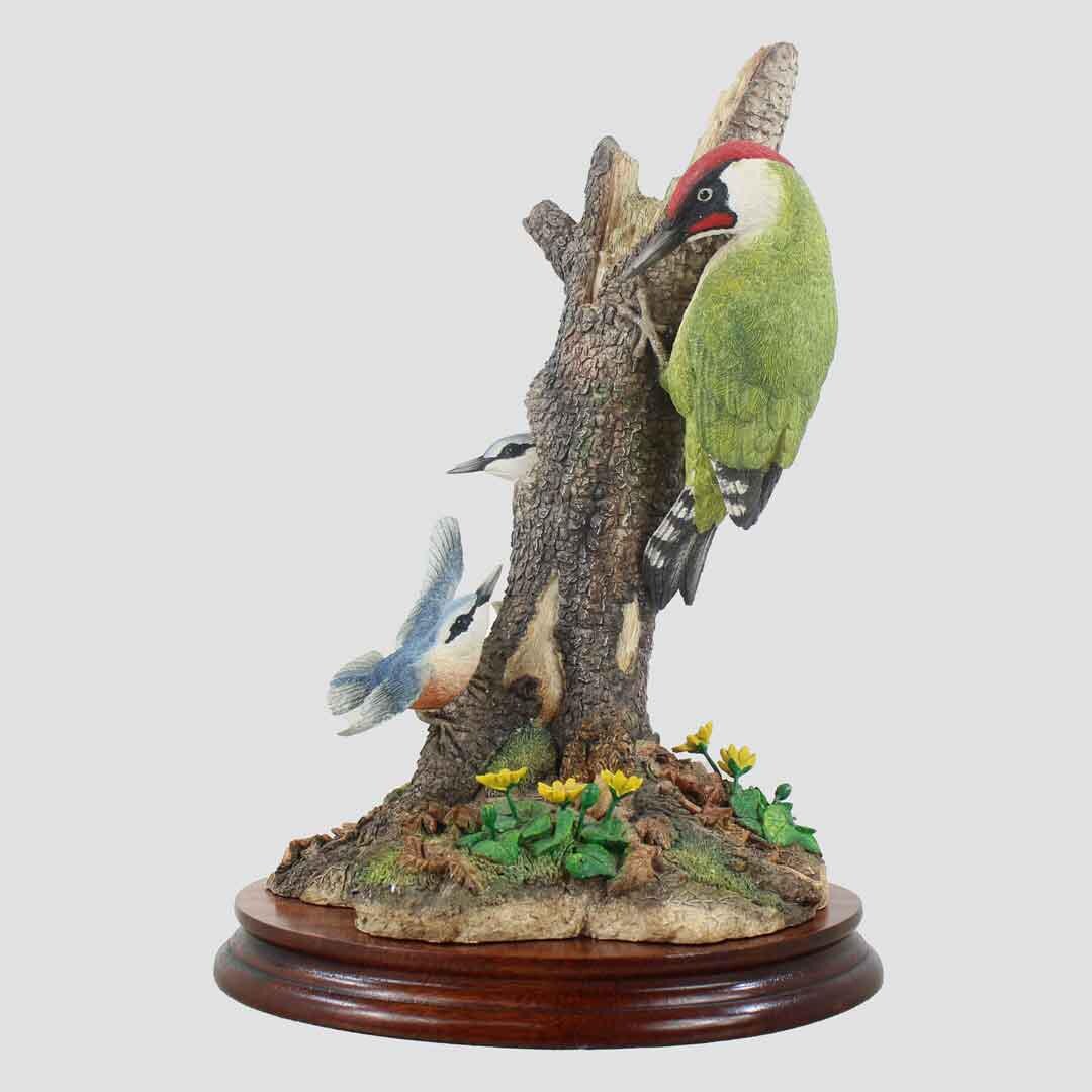 Noisy Neighbours Border Fine Arts Birds - Etsy