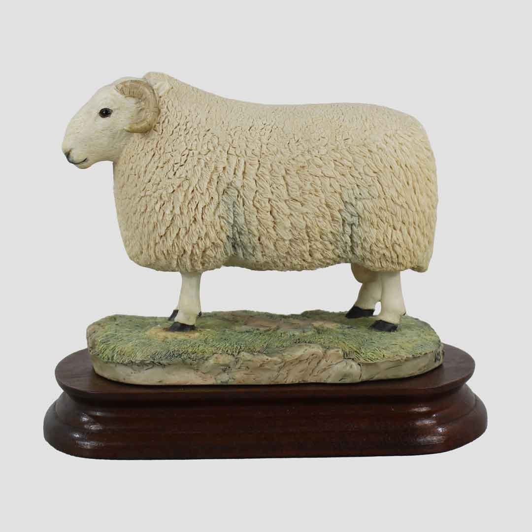 Cheviot Ram Border Fine Arts Sheep - Etsy