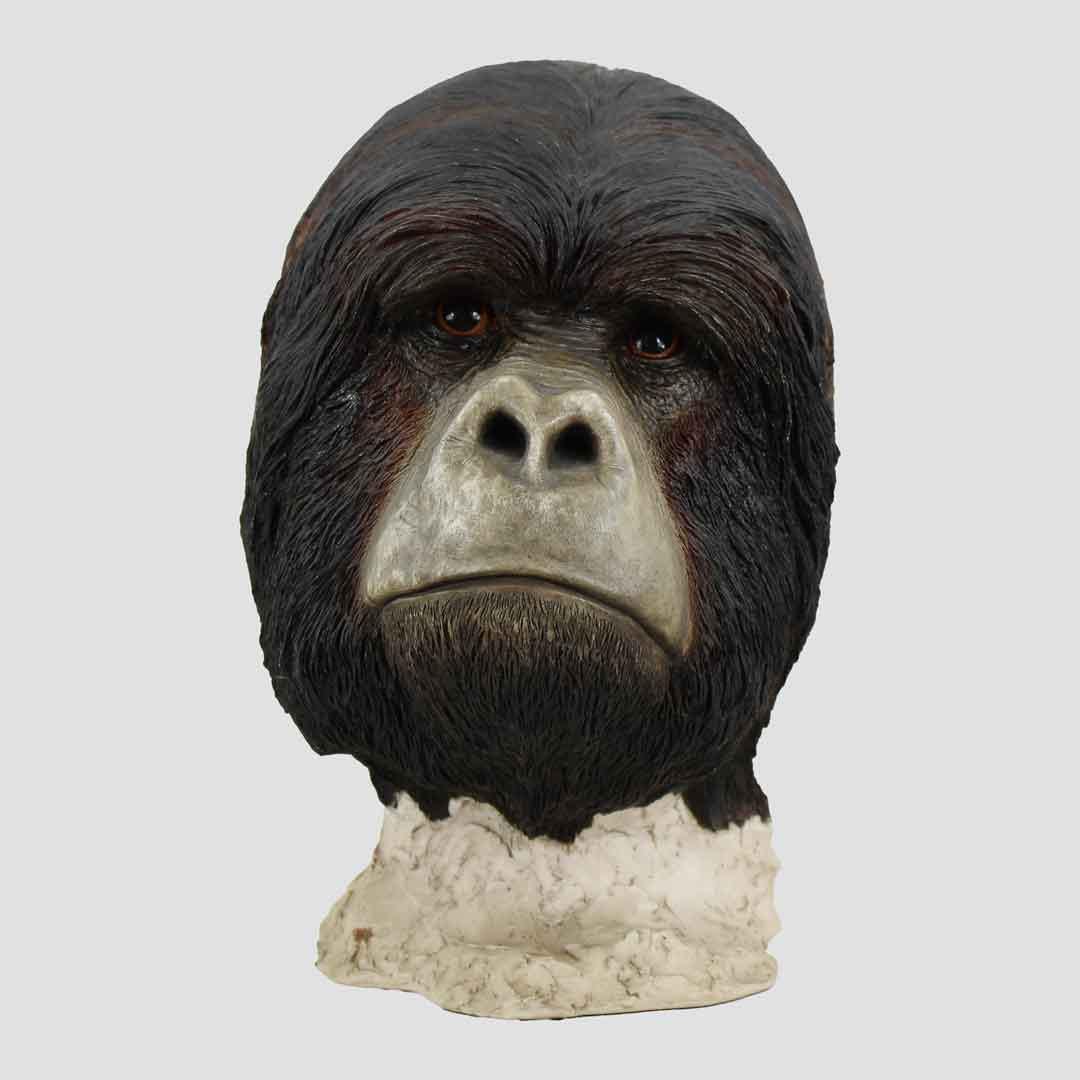 Gorilla Head Sherratt and Simpson - Etsy