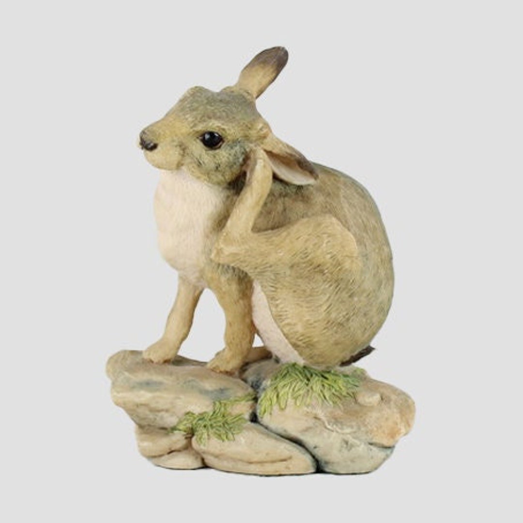 Rabbit scratching Ear Border Fine Arts Wildlife - Etsy