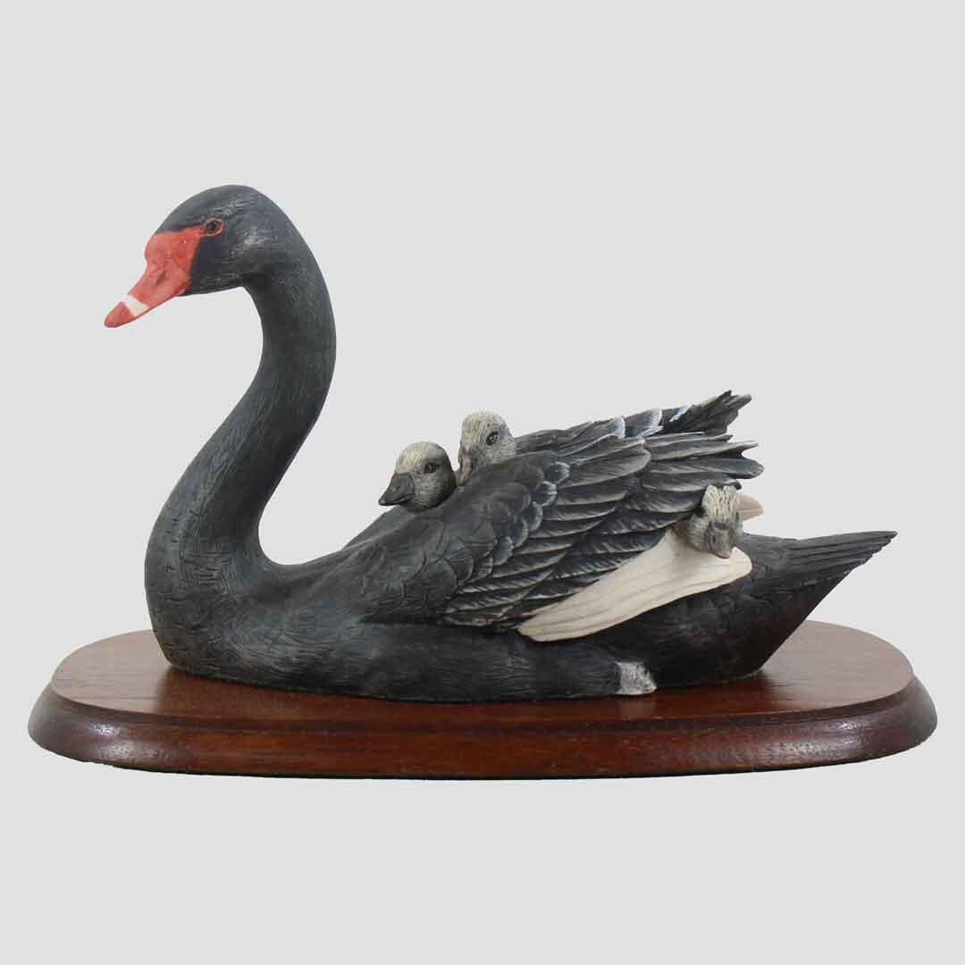 Swan and Cygnets (black Swan) Border Fine Arts - Etsy