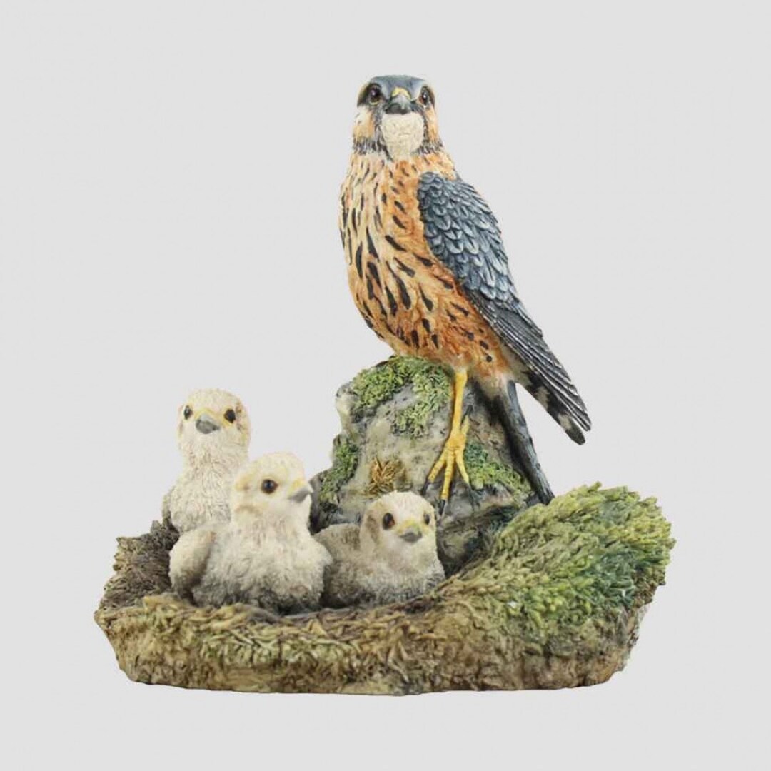 Merlin and Chicks Border Fine Arts Birds - Etsy