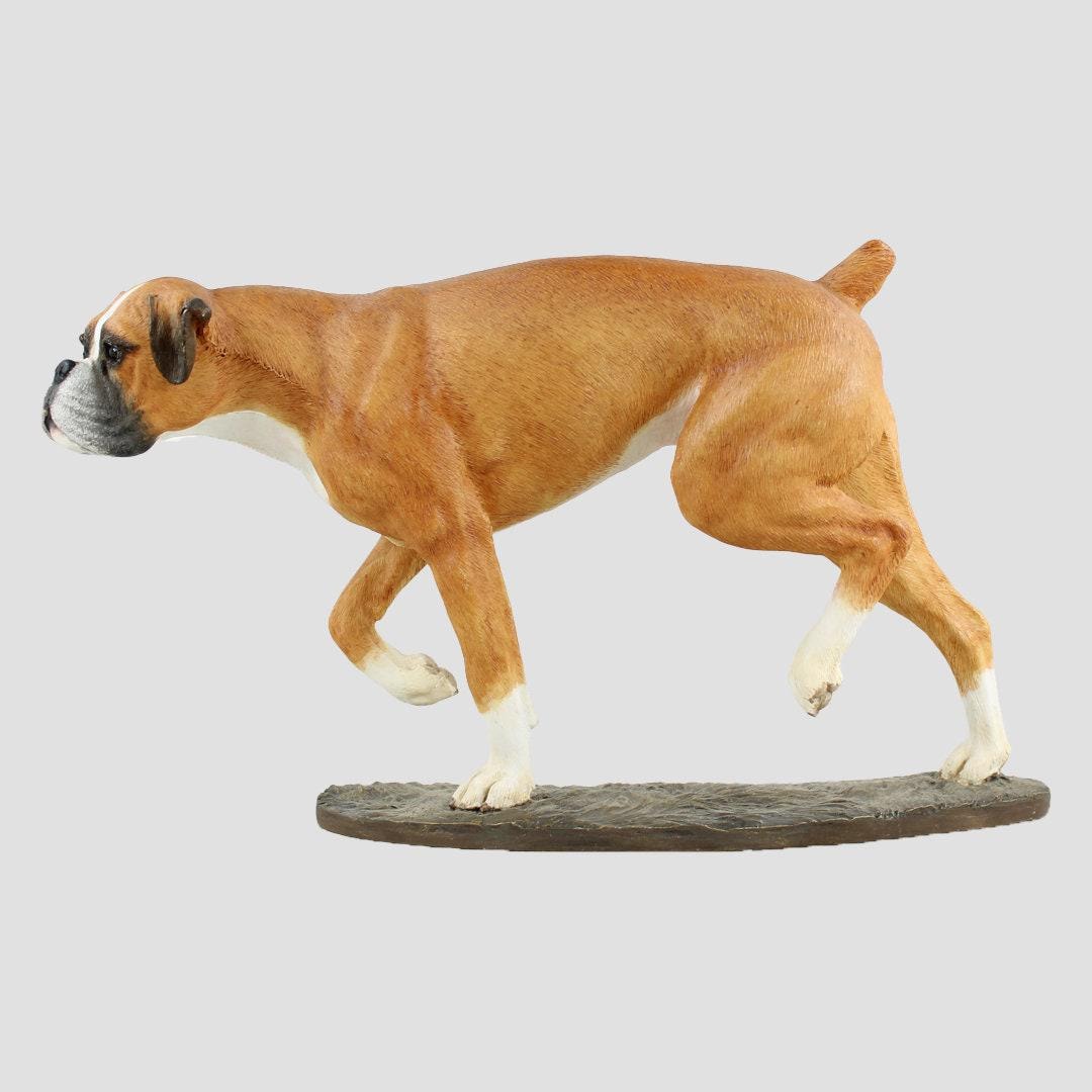 Boxer Tan and White Border Fine Arts Dogs - Etsy