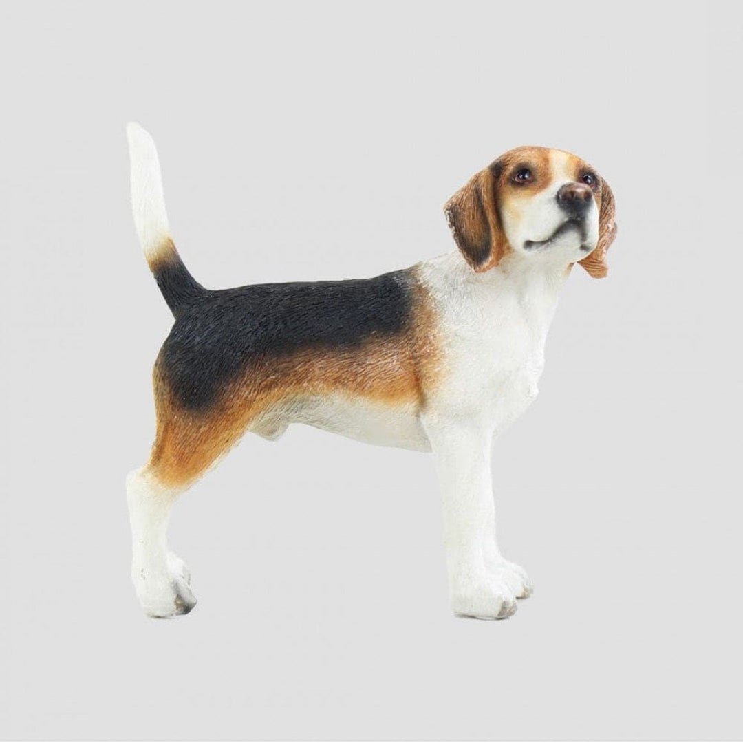 Beagle Dog Model - Etsy
