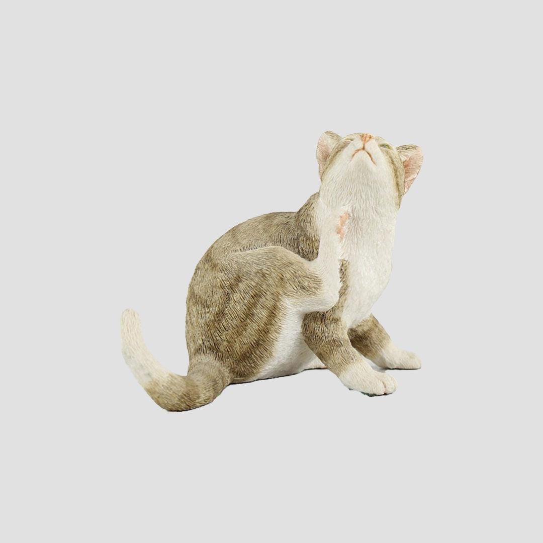 Cat Scratching by Sherratt and Simpson - Etsy UK