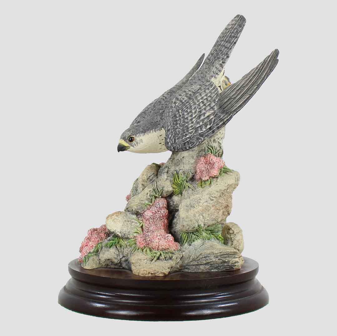 The Stoop Border Fine Arts Peregrine Falcon - Etsy