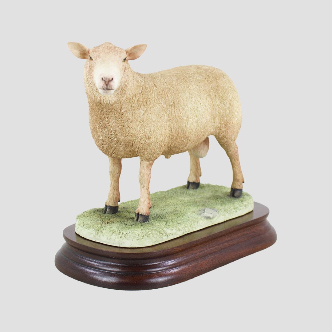 Charolais Ram Border Fine Arts Sheep - Etsy