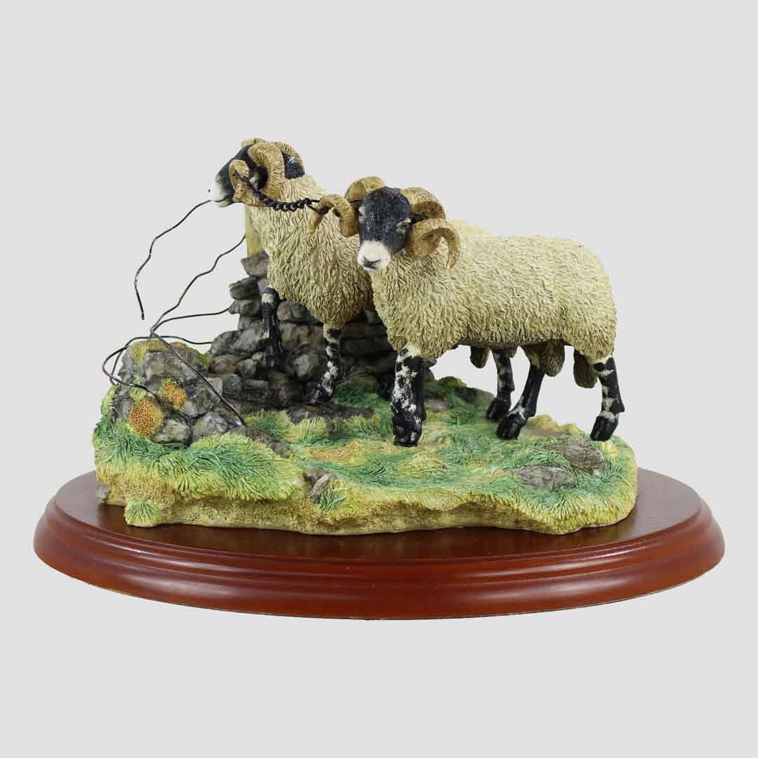 Bolted Border Fine Arts Sheep - Etsy