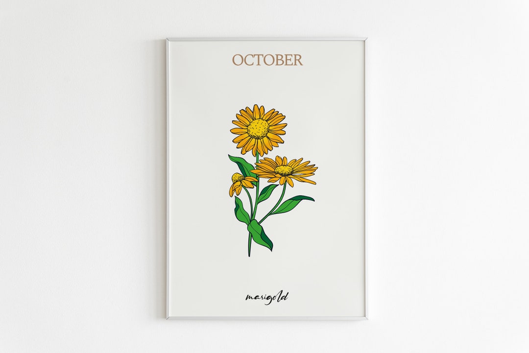 October Birth Flower Print Marigold Print Marigold Drawing - Etsy