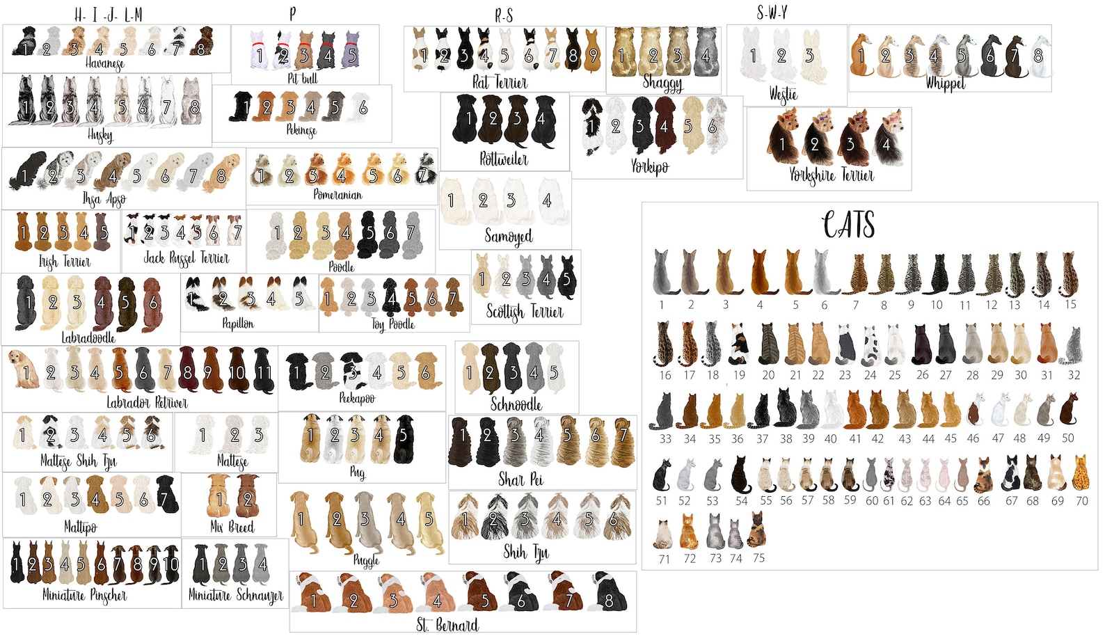 Personalised Vet Print Vet Gift Doctor Print Customized Vet | Etsy