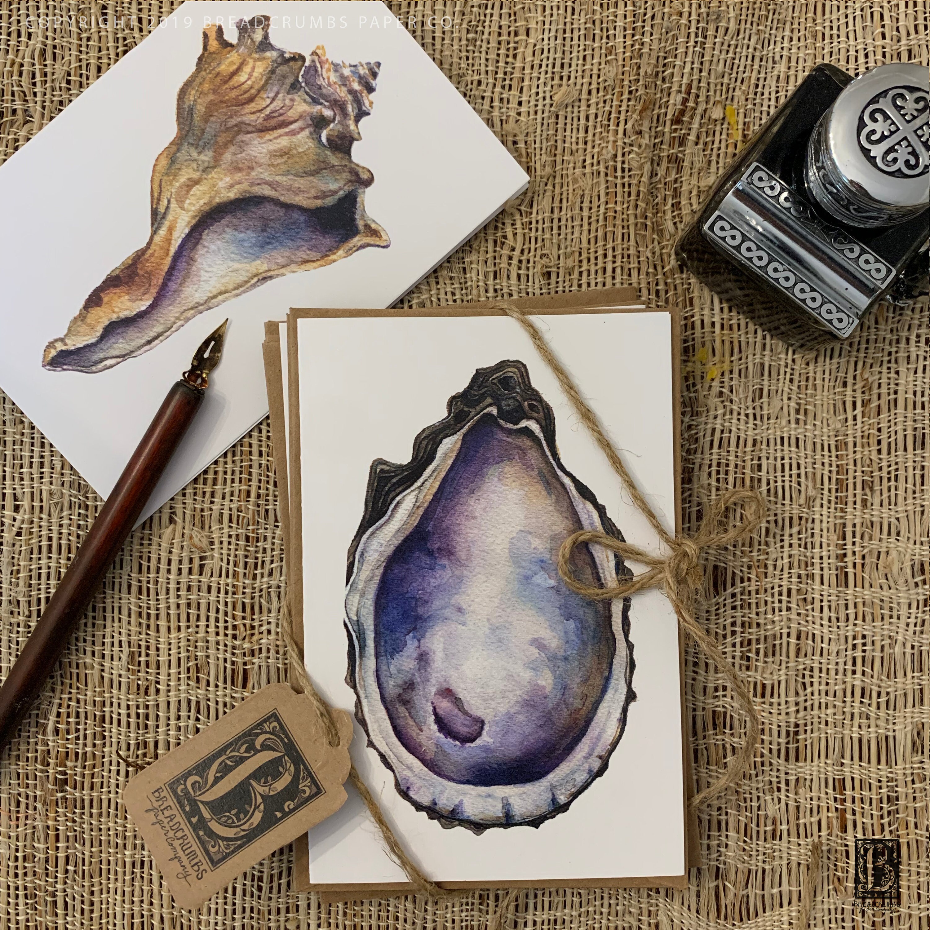 Seashell Notecard Set of 6 Blank Nautical Stationary Set & | Etsy