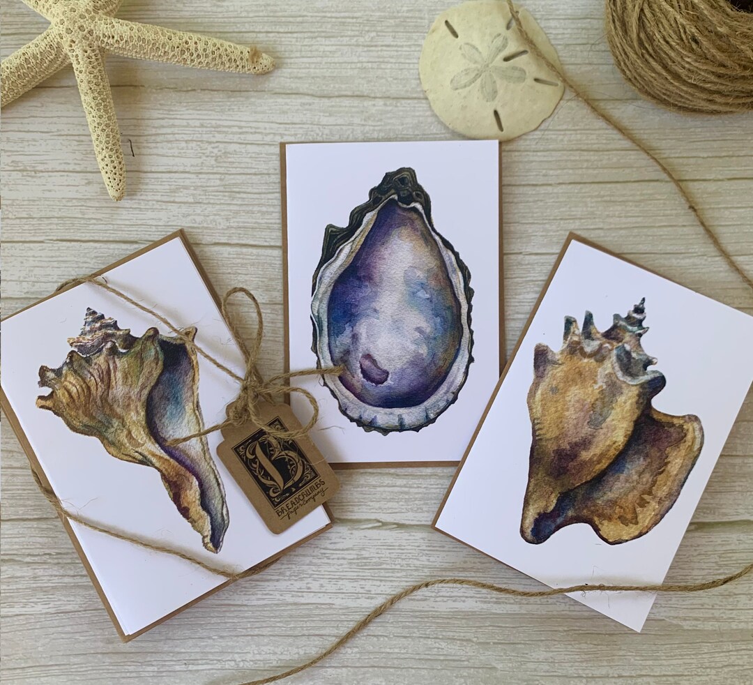 Seashell Notecard Set of 6 Blank, Nautical Stationary Set & Envelopes ...
