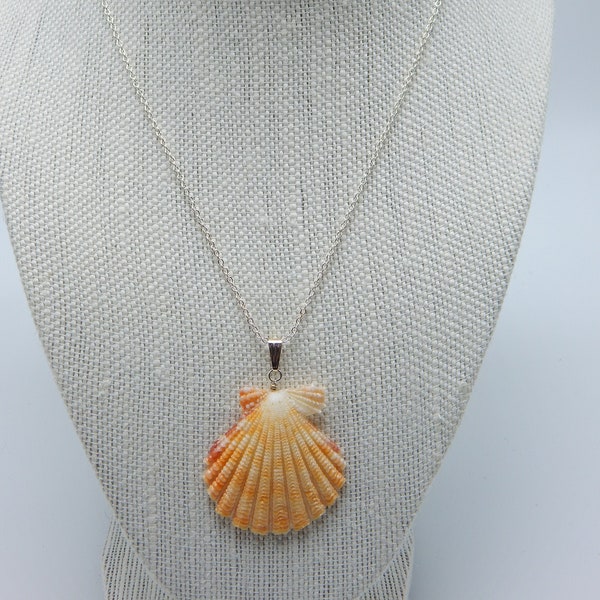 Shell Necklace - Etsy