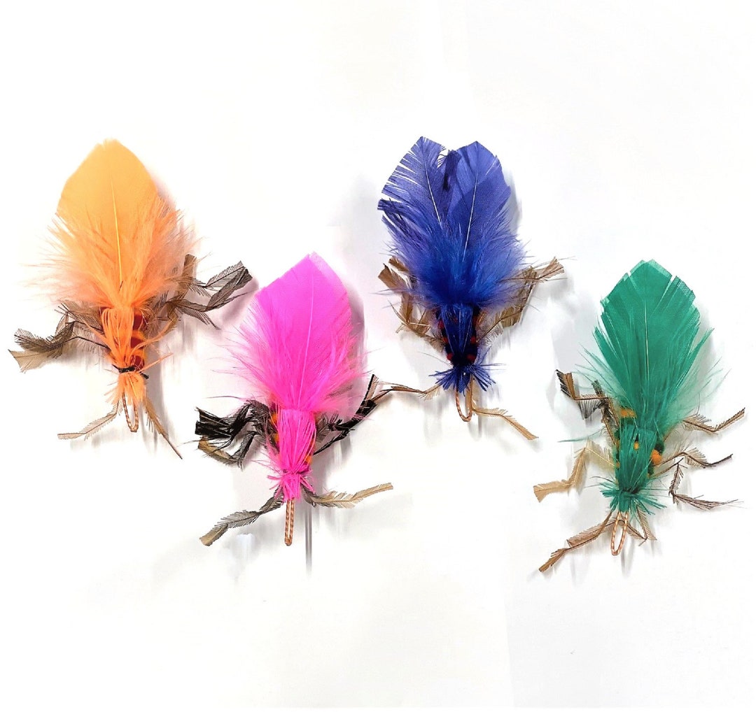 Colored Cockroach Cat Toy- 4 Pack - Etsy