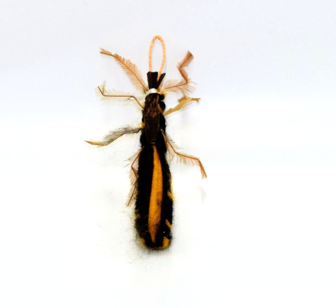 Beetle Cat Toy- 4 Pack - Etsy