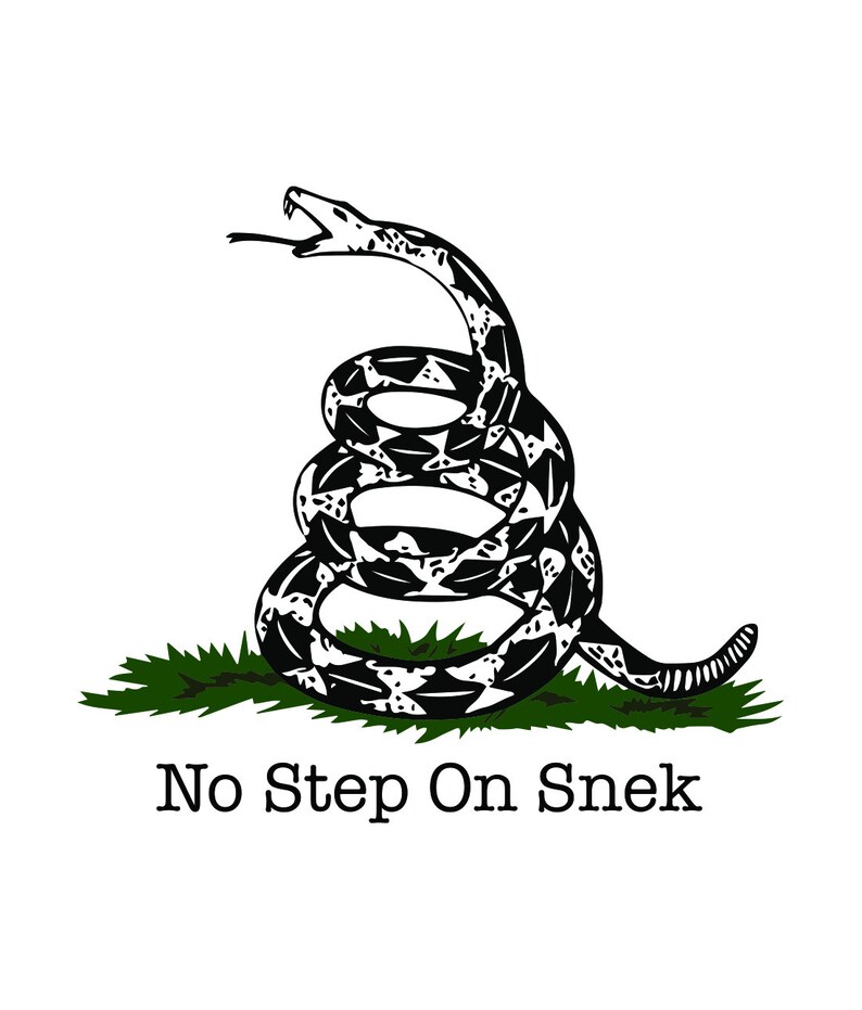 No Step on Snek SVG, Cricut Ready Decal File (digital Download) - Etsy