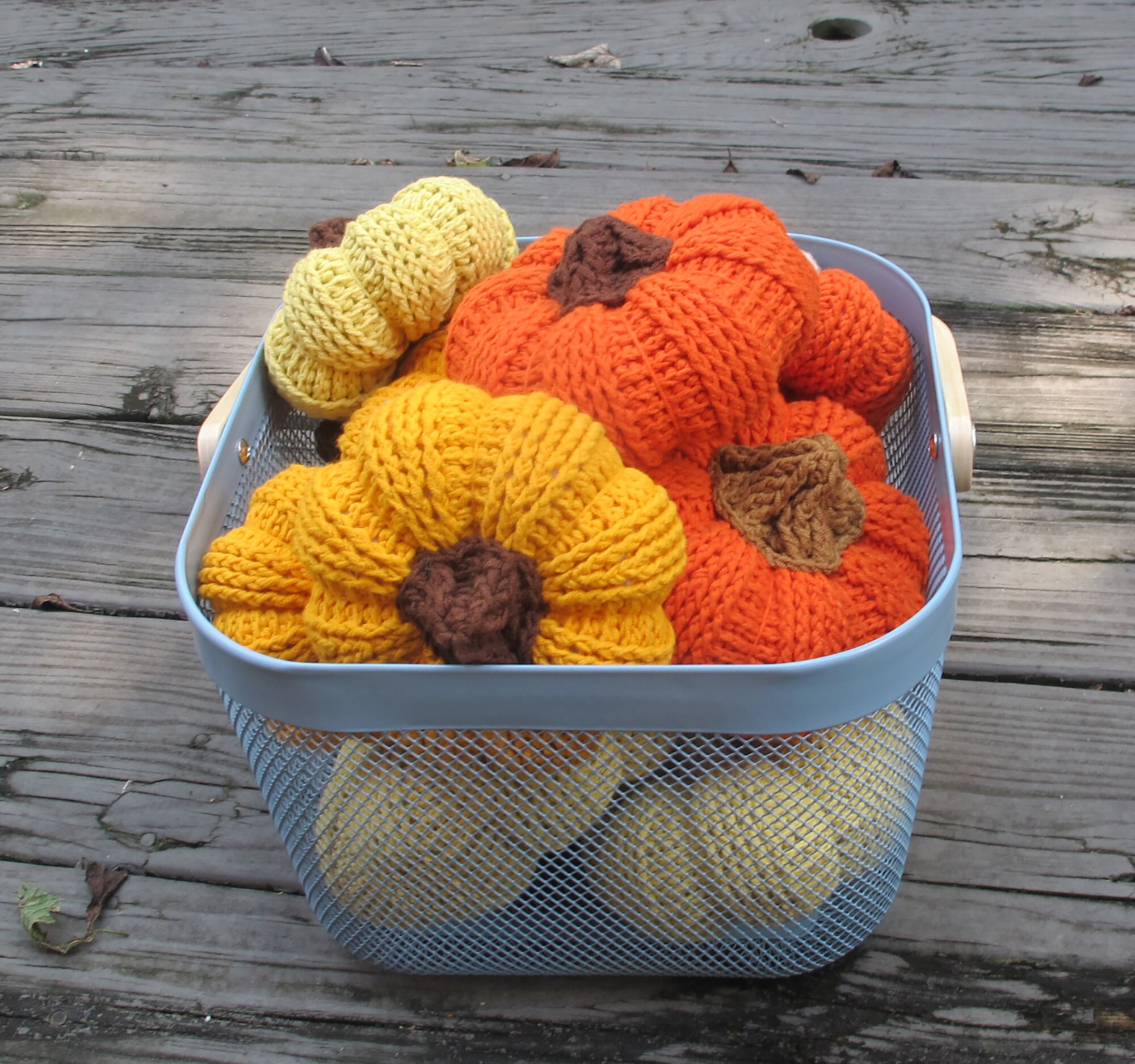 One Dozen Harvest Pumpkins DIY Kit - Etsy