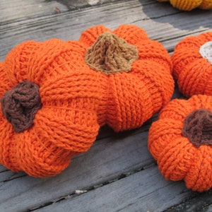 One Dozen Harvest Pumpkins DIY Kit - Etsy