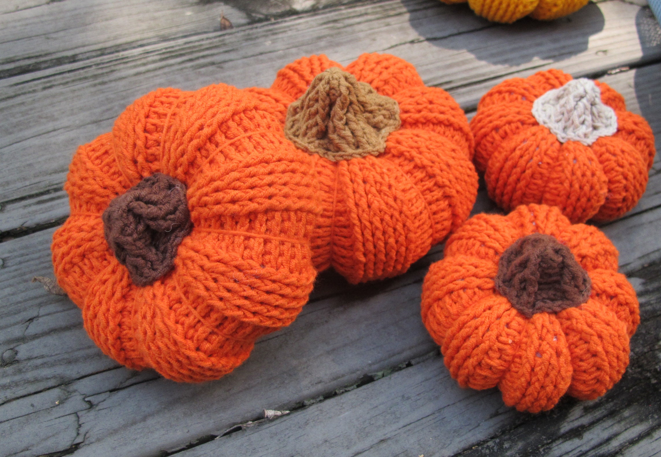 One Dozen Harvest Pumpkins DIY Kit - Etsy