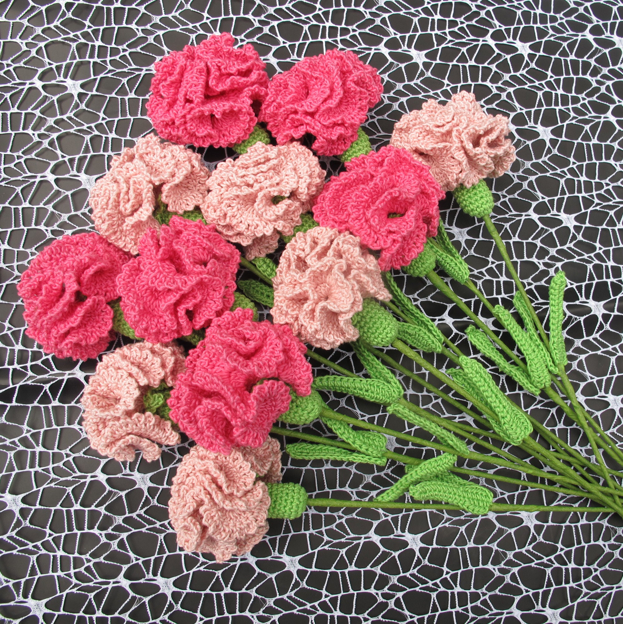 One Dozen Carnation DIY Kit - Etsy