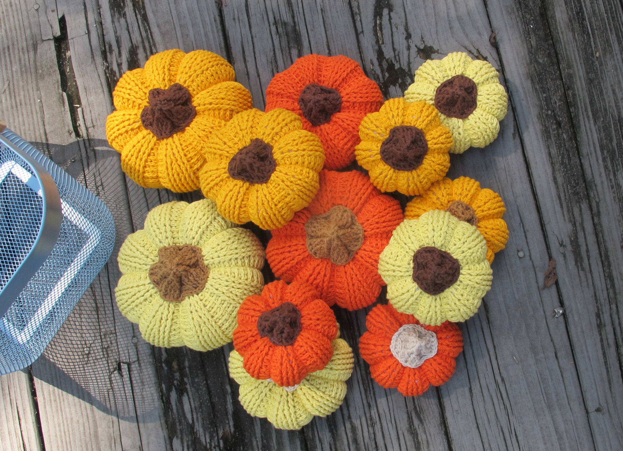 One Dozen Harvest Pumpkins DIY Kit - Etsy