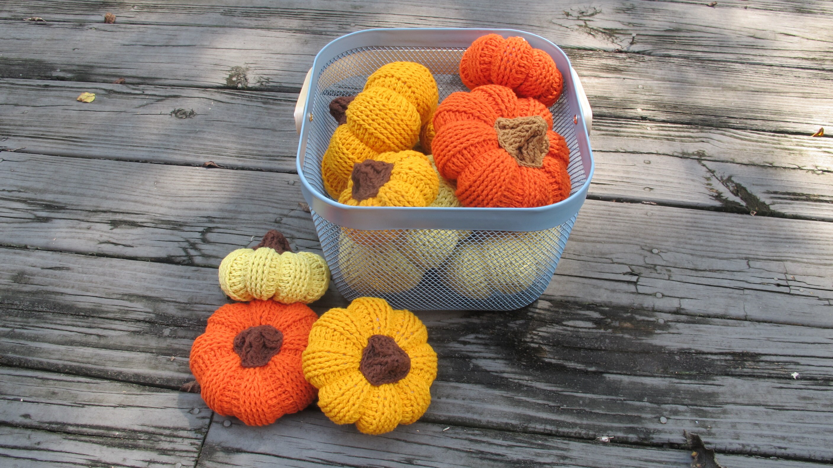 One Dozen Harvest Pumpkins DIY Kit - Etsy