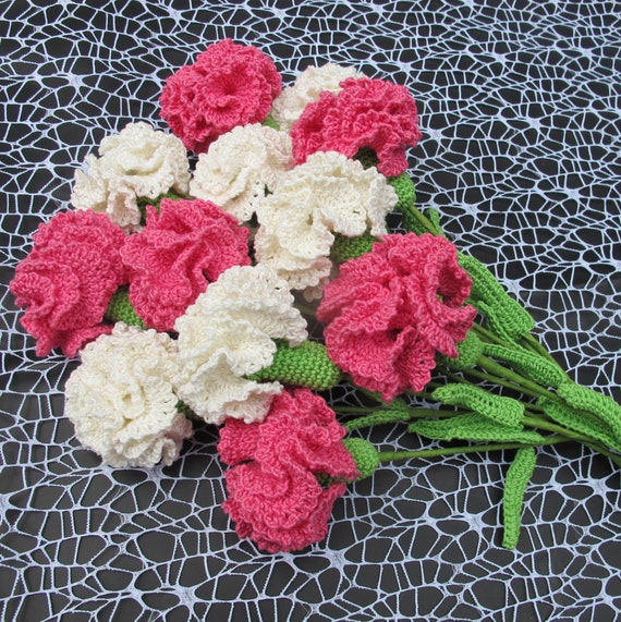One Dozen Carnation DIY Kit - Etsy