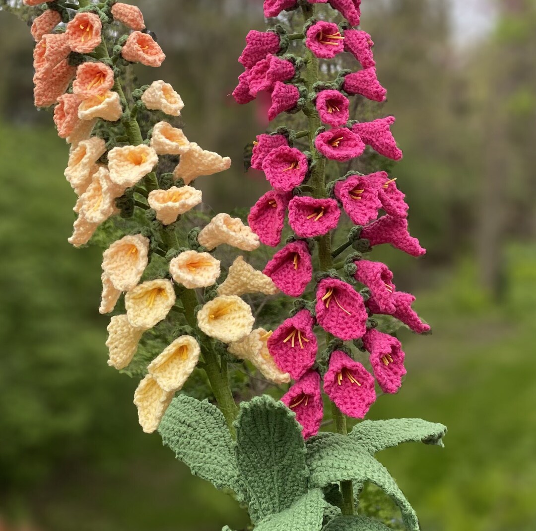 Foxglove 3pcs DIY Kit 52weeks of Flower DIY Yarn Crochet Kit Week 6 - Etsy