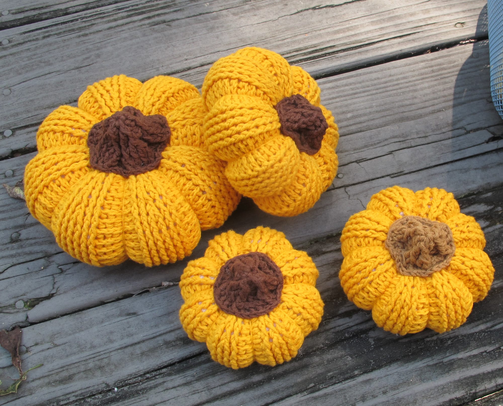 One Dozen Harvest Pumpkins DIY Kit - Etsy