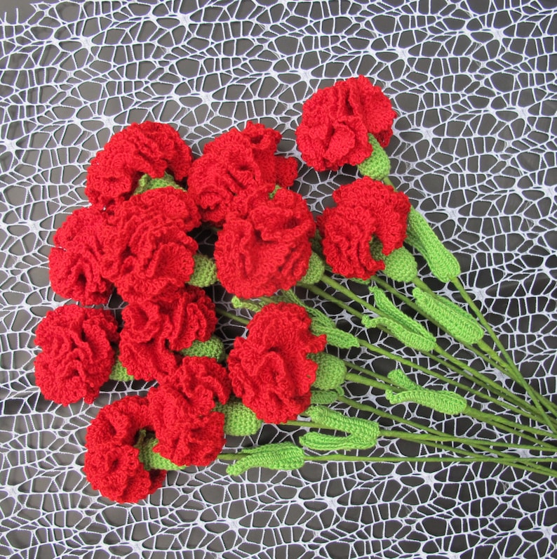 One Dozen Carnation DIY Kit - Etsy