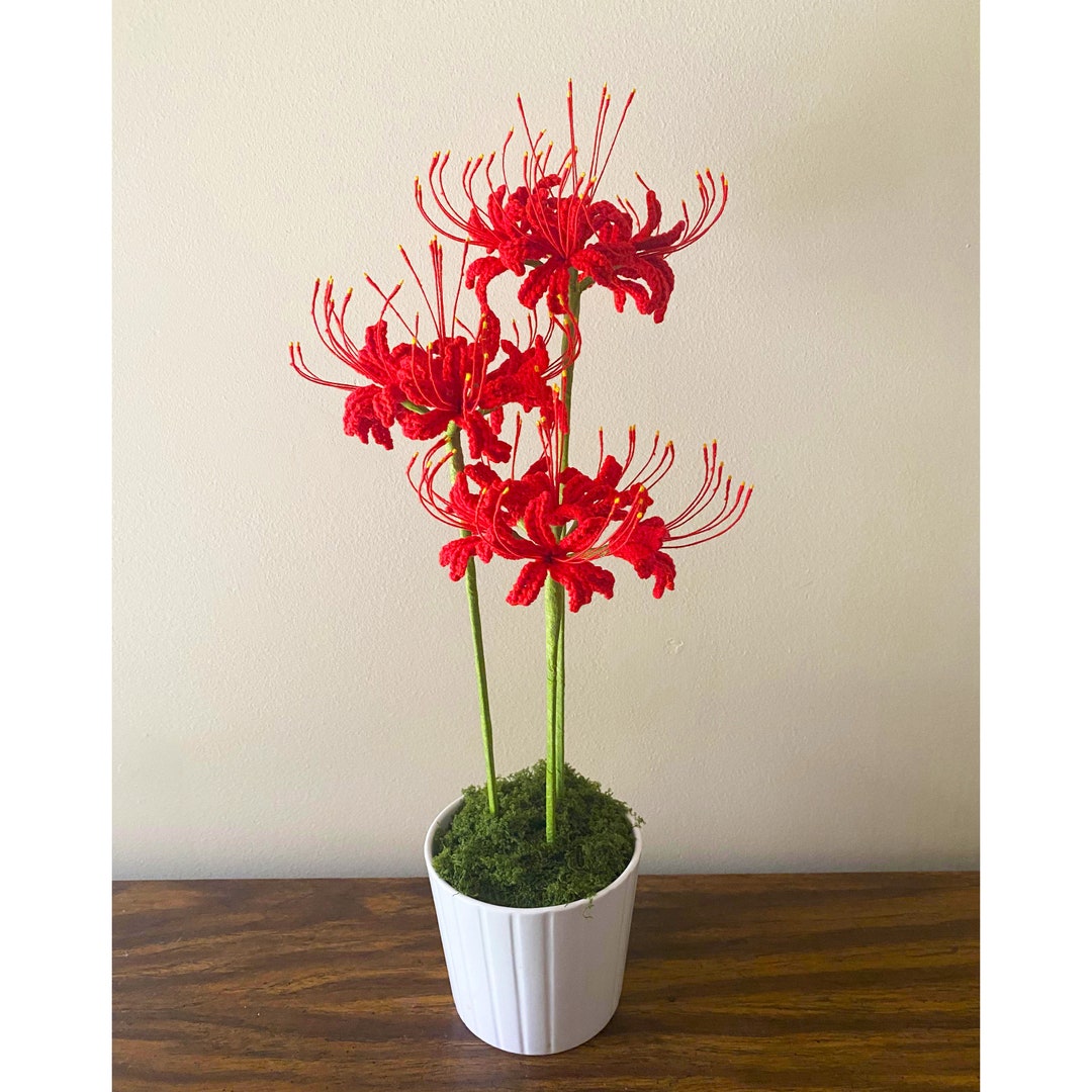 Spider Lily 6pcs DIY Kit 52weeks of Flower DIY Yarn Crochet Kit - Etsy